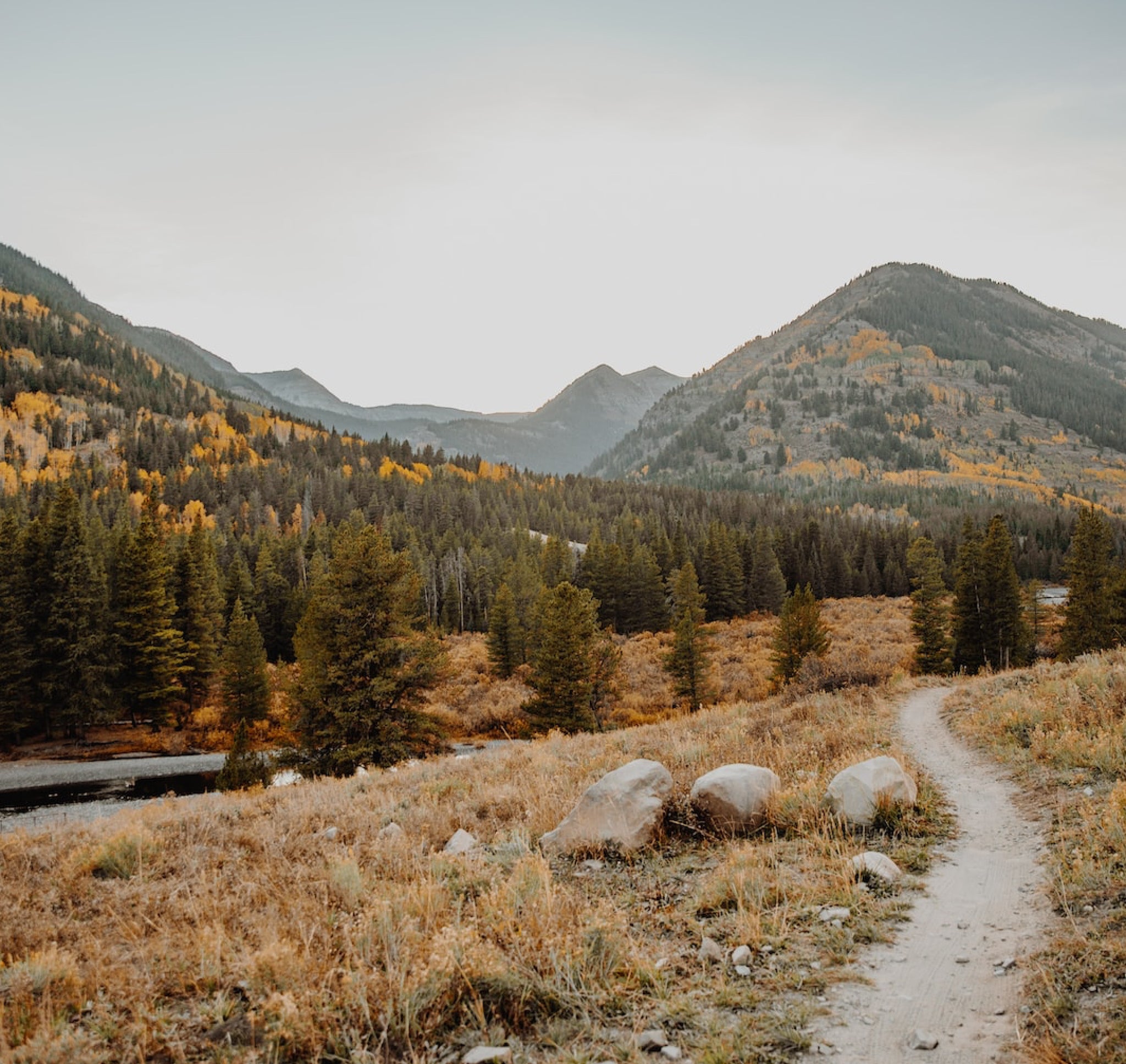 Roam Stroller & Organizer Bundle – Guava Family